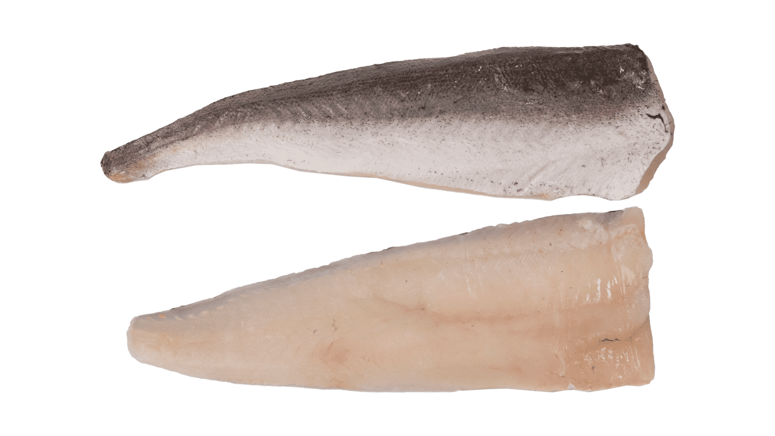 Hake fillet skin on - Dayseaday